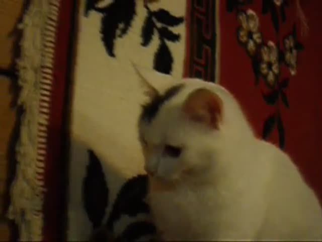 2011_01_12- В феврале