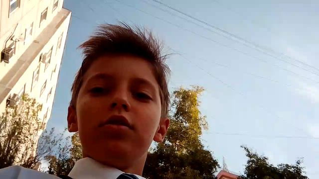 Вопрос- ответ_ Zifity