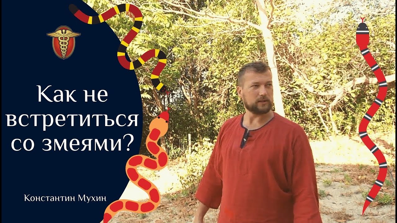 ☯ Как не встретиться со змеями? | Константин Мухин