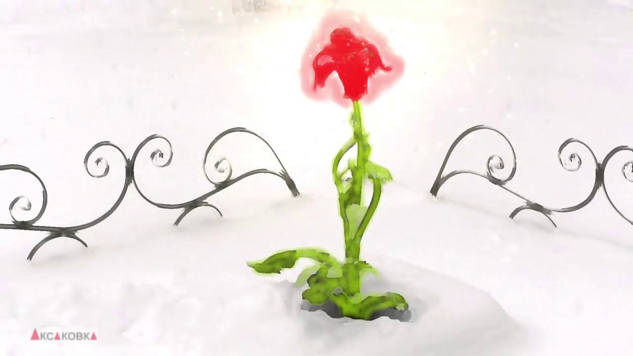 Зимняя дорога к Аксакову. Путешествуем с Аксаковым.