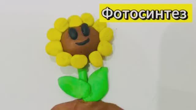 Растения  и фотосинтез. Мультфильм.