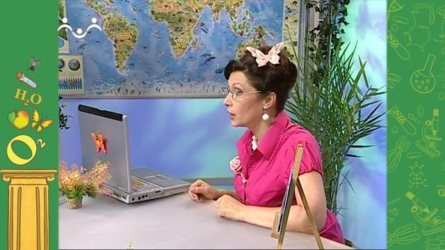 АЗН. Биология. Заботливые папы у рыб. Губан. Почему муравьи любят пионы