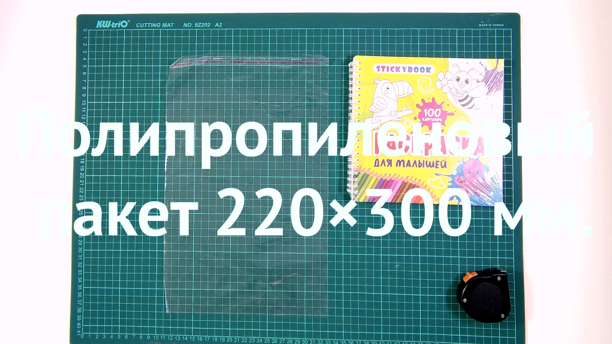 ПП пакет с клапаном и скотчем 220×300