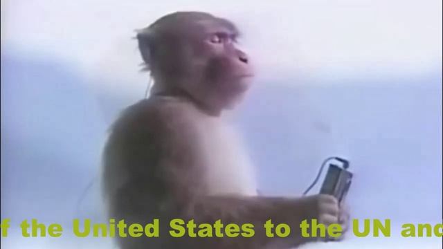 Постпред в ООН от США.mp4