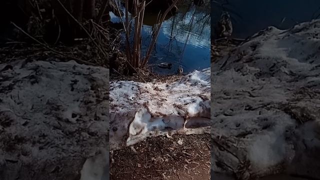 Прогулка продолжается...