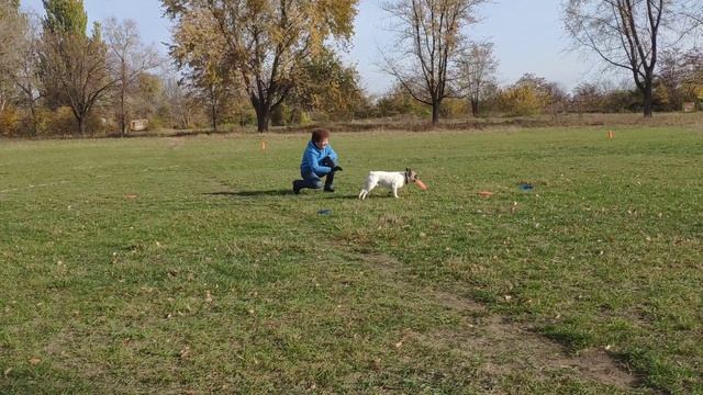 Frisbee-Манія 2018 Наталья и Буба.mp4