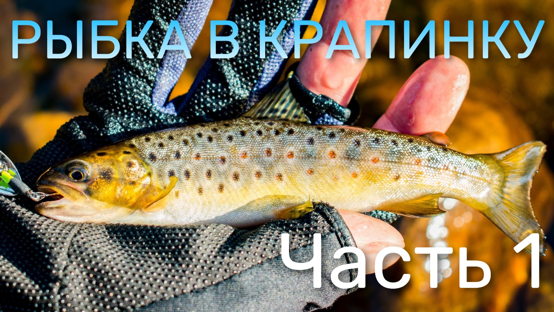 УДАЧНАЯ РЫБАЛКА  "в крапинку". Часть первая