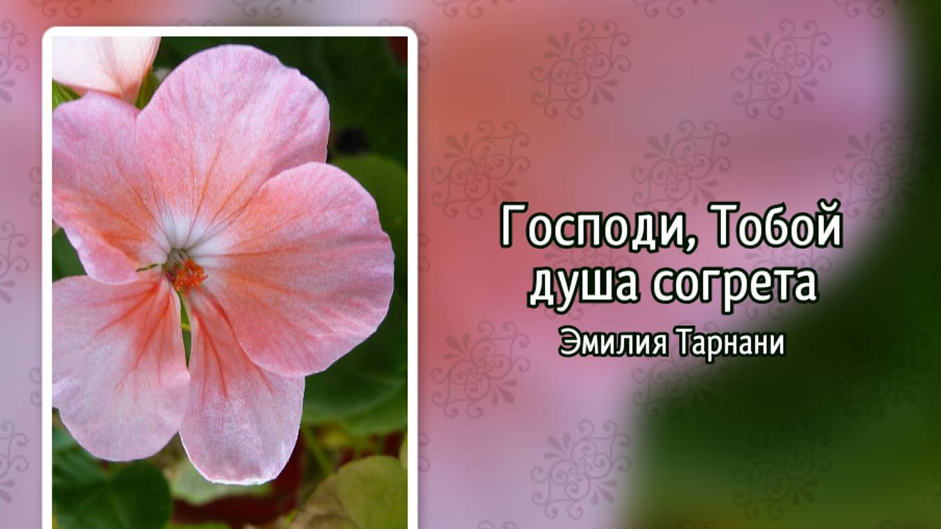 Господи, Тобой душа согрета (+)