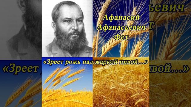 Зреет рожь над жаркой нивой - Фет А. А. #shorts