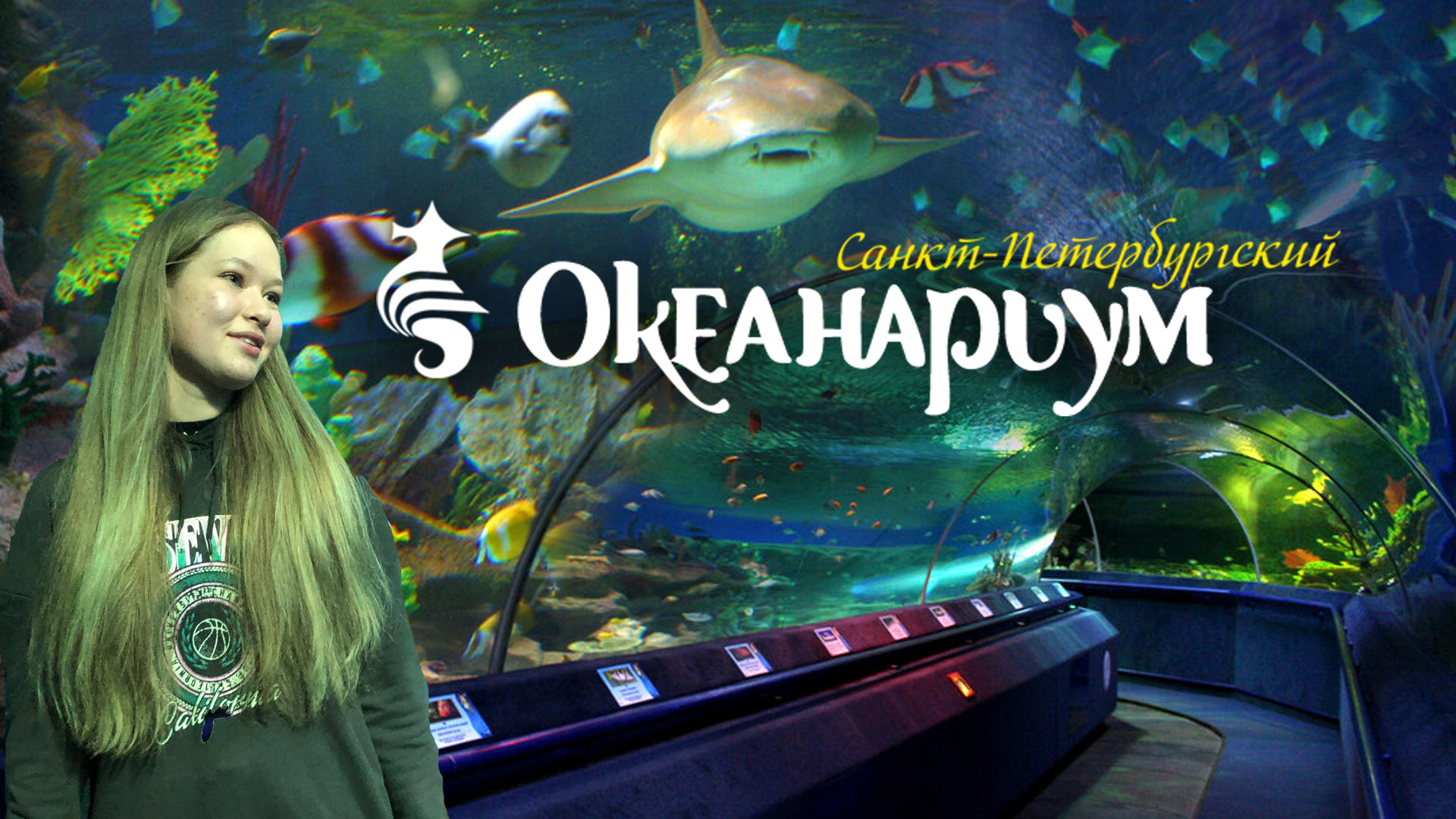 Океанариум Нептун.  Куда сходить в Санкт Петербурге с детьми?