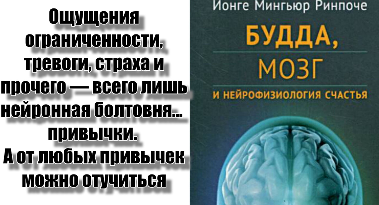ЕСТЕСТВЕННЫЙ УМ #Мозг #нейрофизиология #буддизм #наука #ум #Йонге #Мингьюр #Ринпоче #ТАТХАГАТАГАРБХА