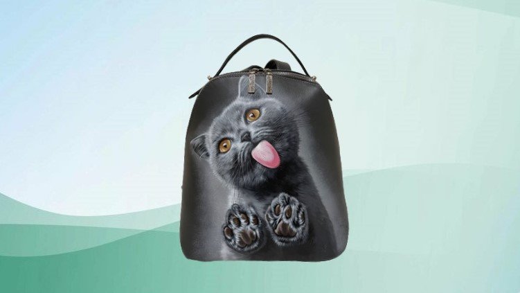 Рюкзак плоский "Подлиза" Pelle-Volare