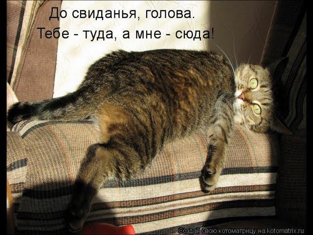 Синяя Калина справа, стоит на зеленый, едет на красный.