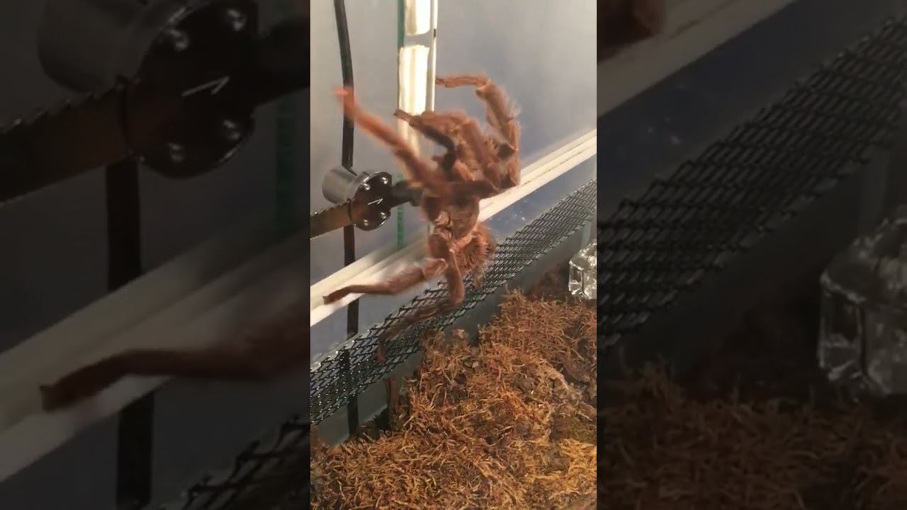 такой милый!