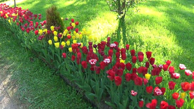 "Карякинский сад" в городе Рыбинске
