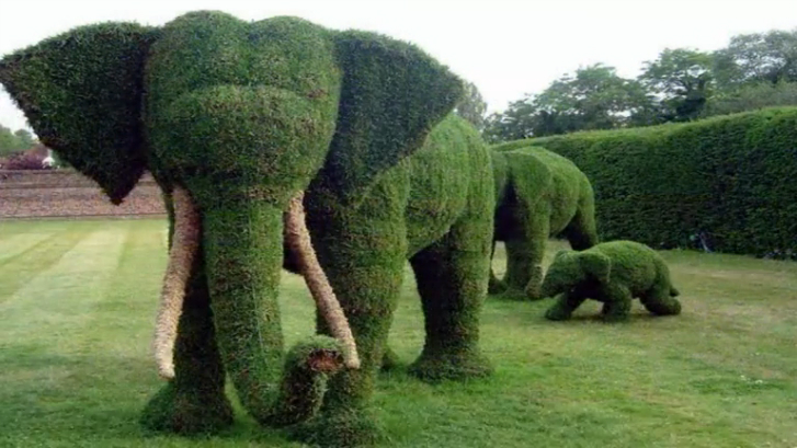 город зеленого цвета