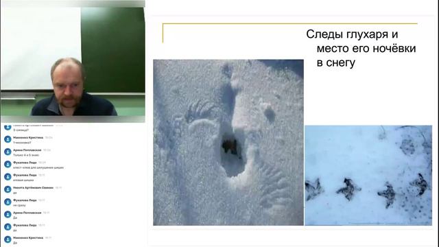 Следы невиданных зверей 16 мая 2024