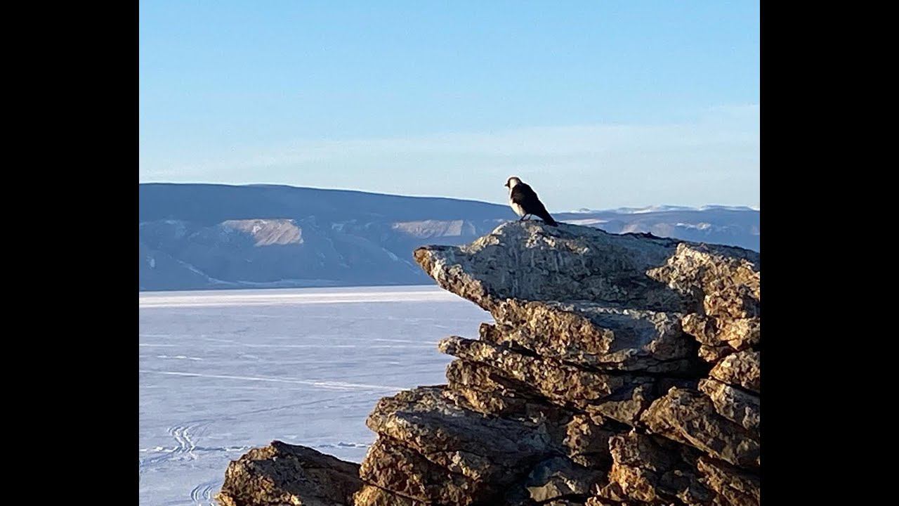 Адаптация к новым энергиям. Медитация с Юлией Лагун