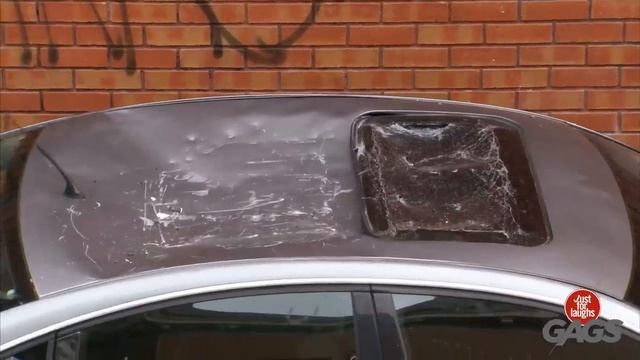 Смешные видео #88.mp4