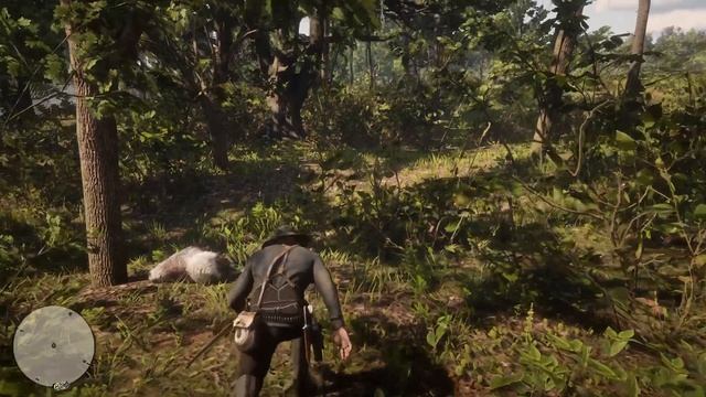 Red Dead Redemption 2 - ► Сезон охоты: Легендарная пантера Гиагуаро