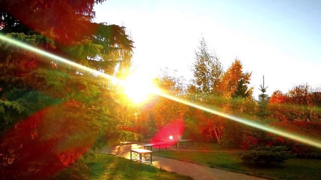 Мнимая "элита". О власти, которая оторвалась от народа.