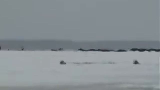 Десантирование.12 ОБрСпН ч.1.mp4