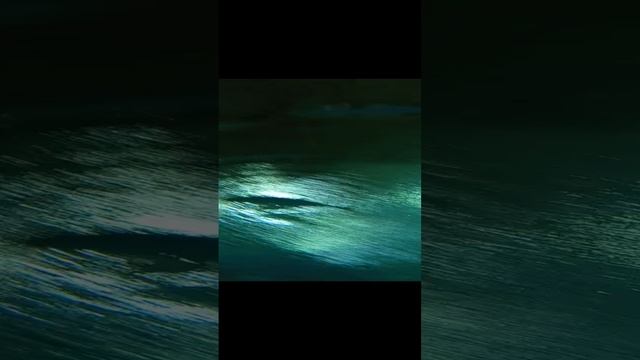 океанариум Спб Питер аквариум рыбки рыбы аквариумы аквариумные аква под водой подводный мир вода