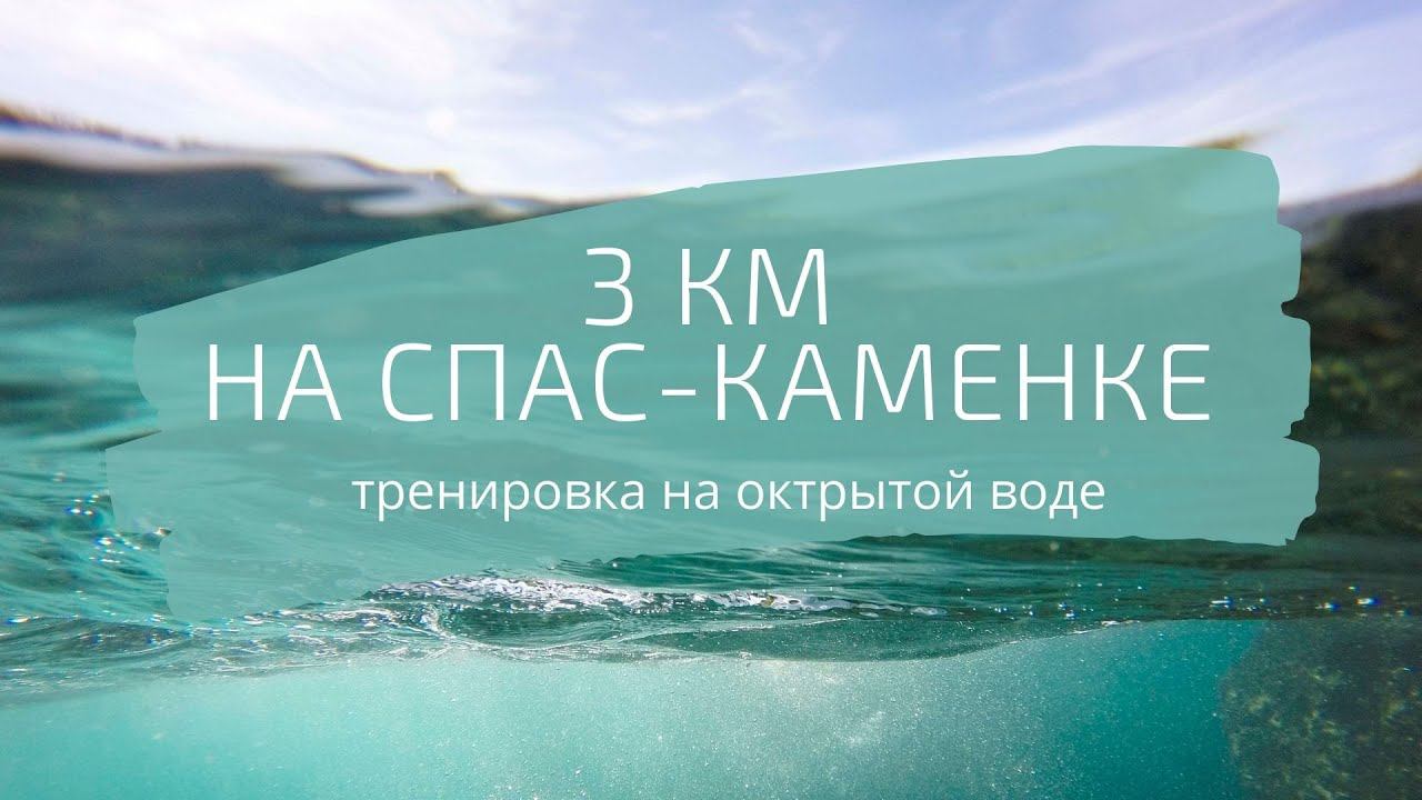 Тренировка на открытой воде. Заплыв на 3 км в Спас-Каменке