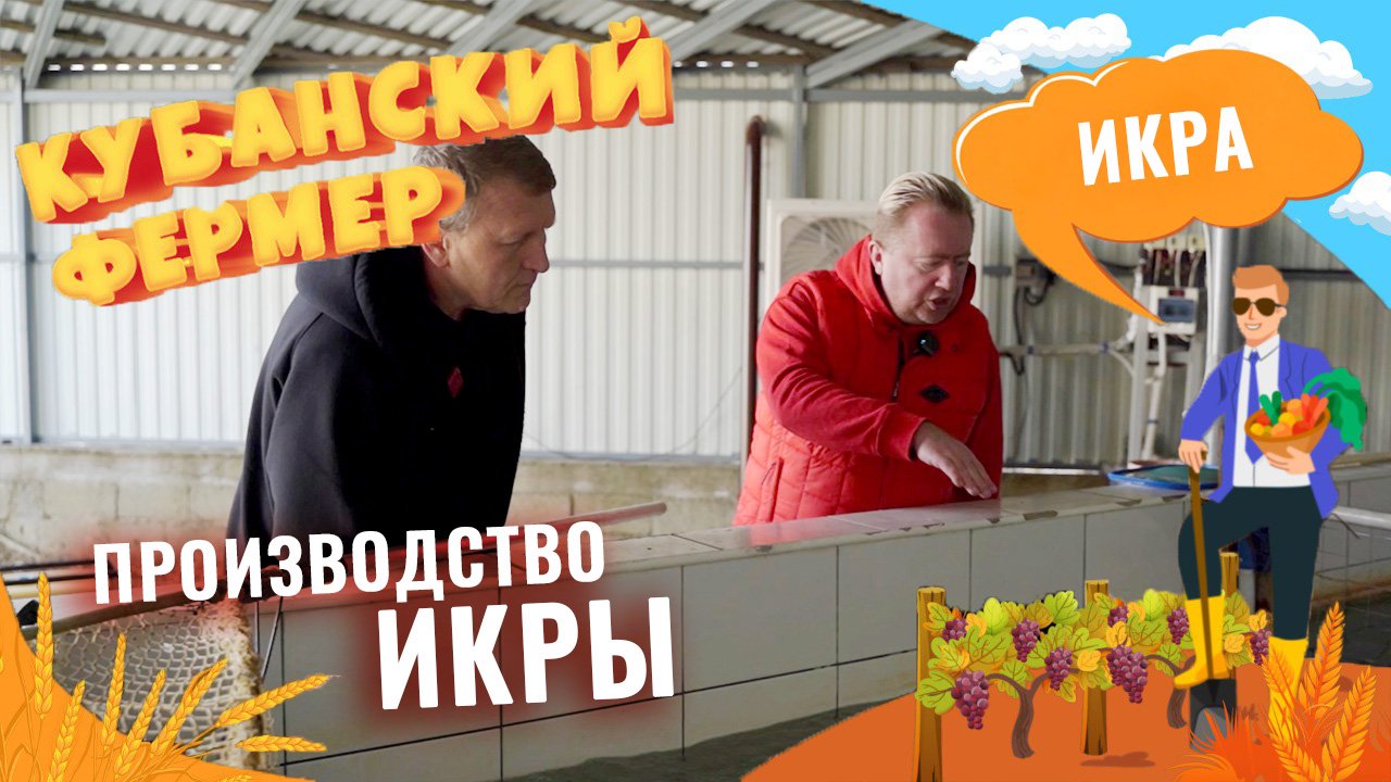 Производство икры на Юге России. Фермер о создании рыбного хозяйства, нересте, продаже морепродуктов