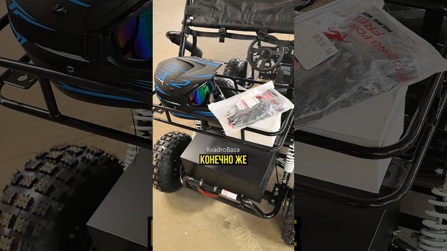 Багги Scanmoto Rapid с доставкой в Подмосковье от Квадробазы