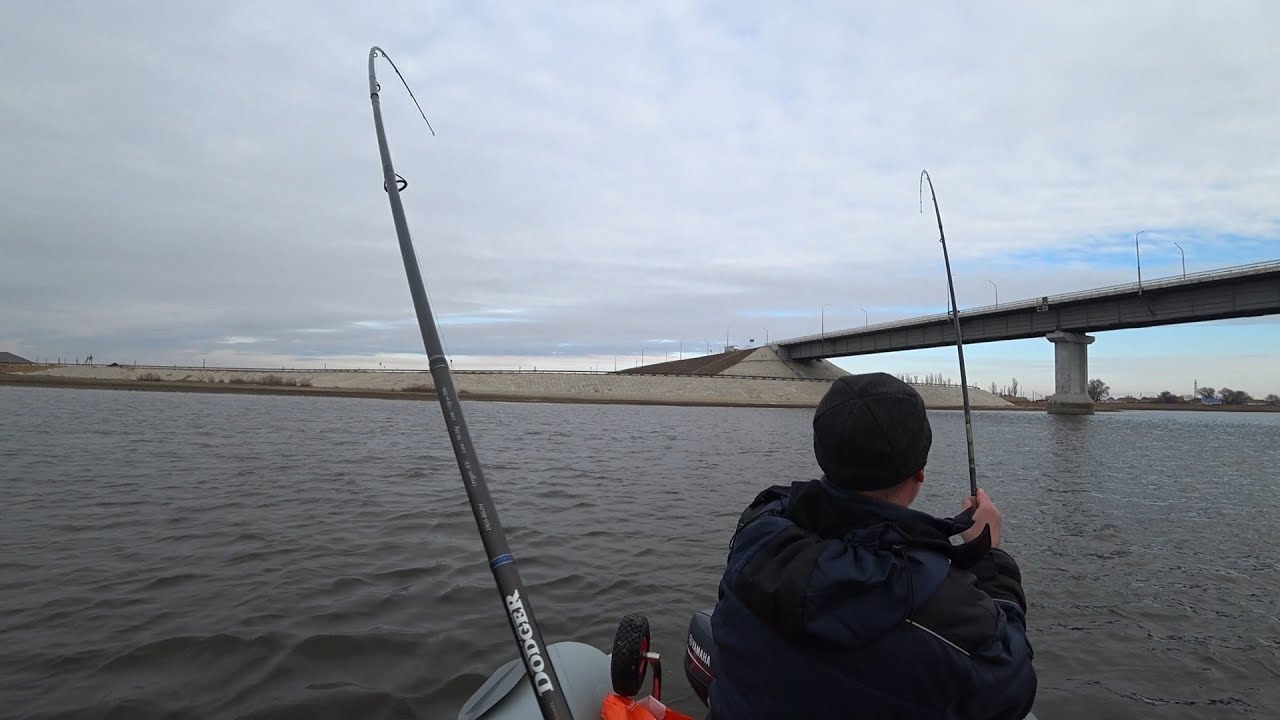 ЖОР ХИЩНИКА в Астрахани. Супер клёв. Судак и щука не дают уехать с рыбалки.