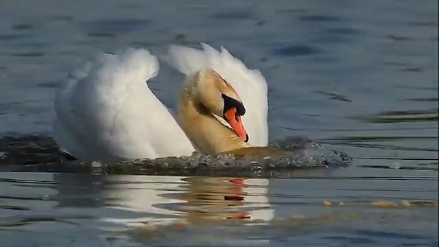 Я КУПЛЮ ТЕБЕ ДОМ.mp4