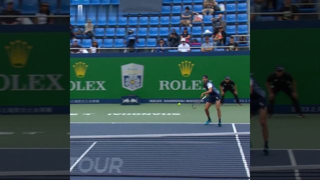 Неожиданности в теннисе. Lorenzo Sonego with a moment of magic as he defeats Tiafoe.