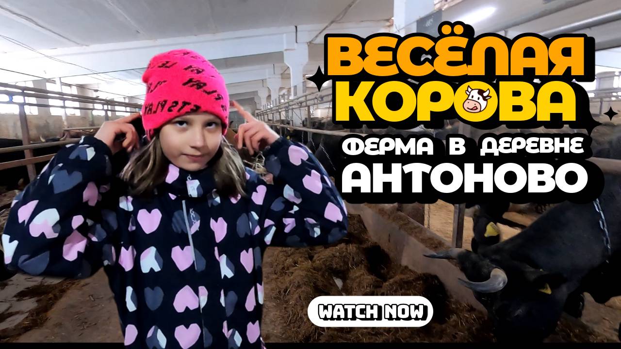Весёлая Корова ферма 🐮 деревня Антоново ❄️ Зимние приключения