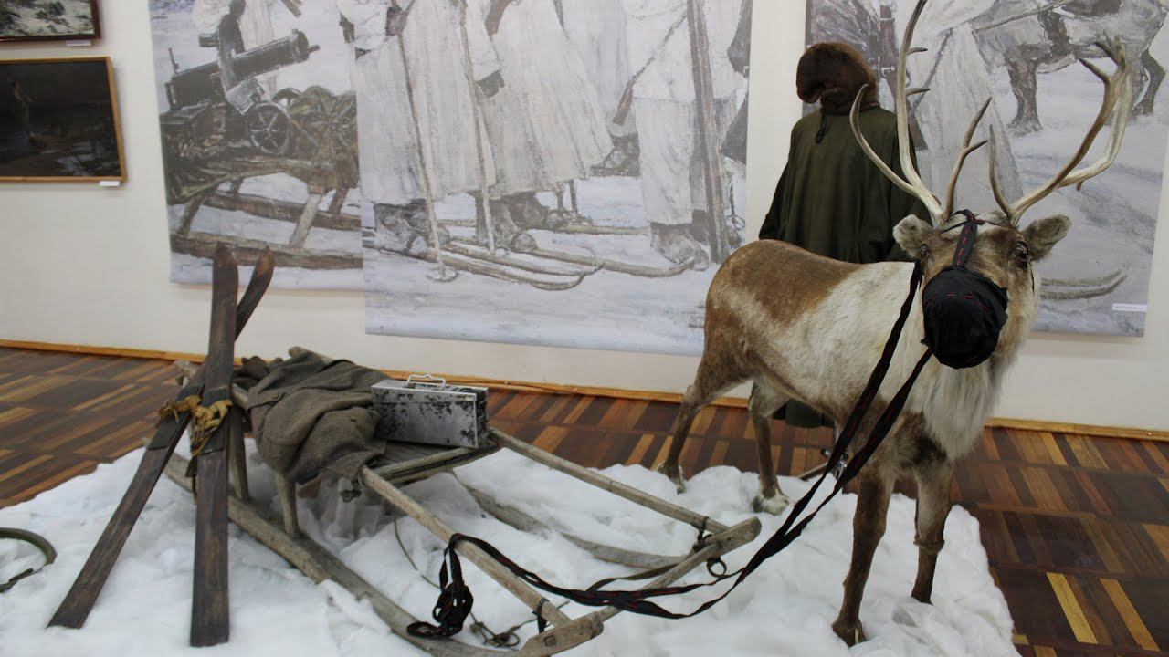 Почему оленей называли «арктическими танками»?