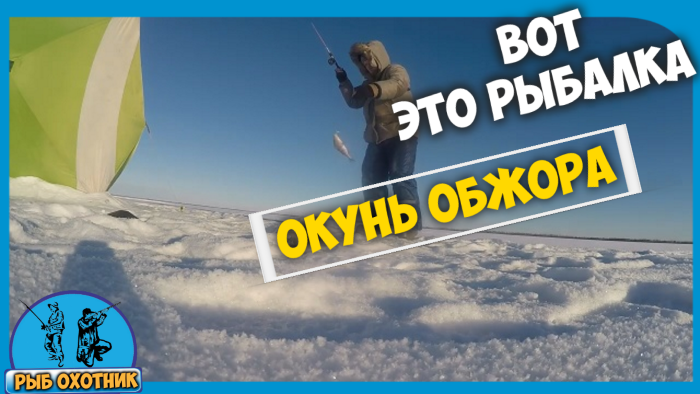 Отличная рыбалка в палатке. Нашли много окуня