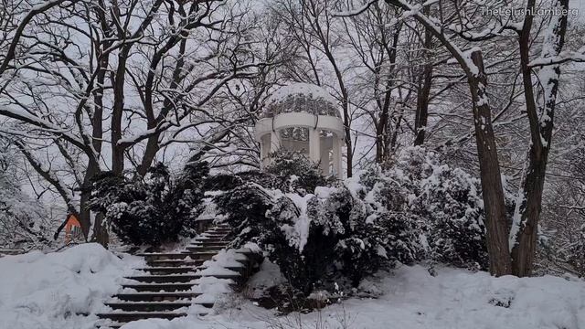 World in Emotion #39 Snow "City garden" Krasnodar