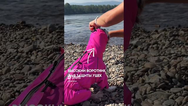 Обзор улучшенной модели дождевика'24 для собак мелких пород