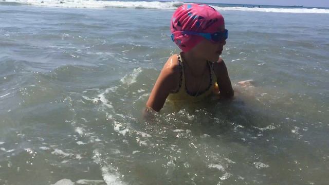 Дельфины на мели