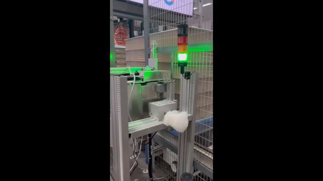 Аппликатор с лапой для паллет-(1080p30)