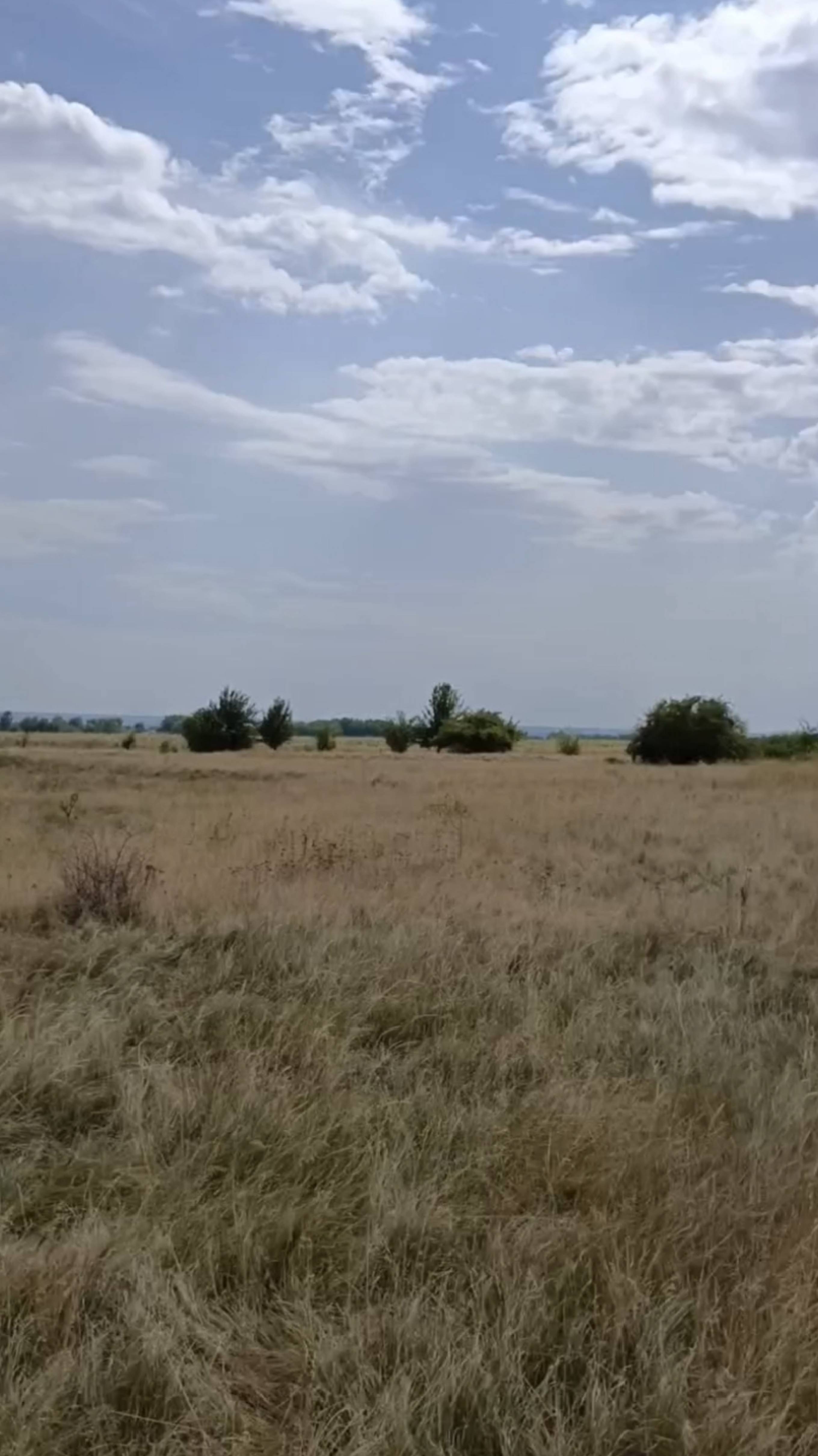 Жаркий Июль Русскому солдату посвящается.