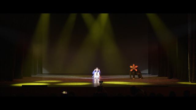 Двухкамерная съемка концерта пример