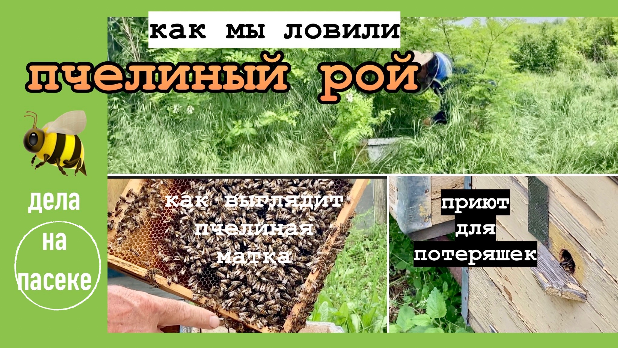 Пчелиный рой/У всех своя работа/Приемный дом/