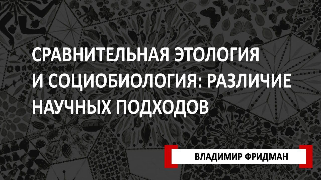 Сравнительная этология и социобиология: различие научных подходов