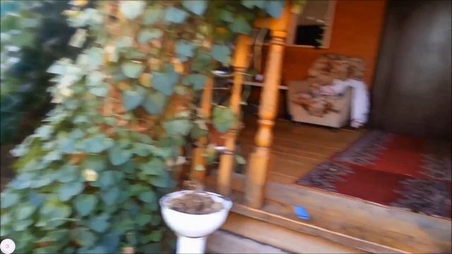 Деревенский двор