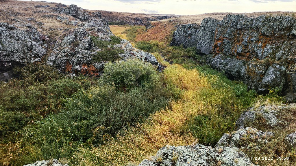 Осенний марафон