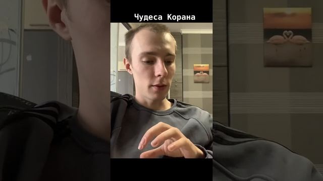 Чудеса Корана.mp4
