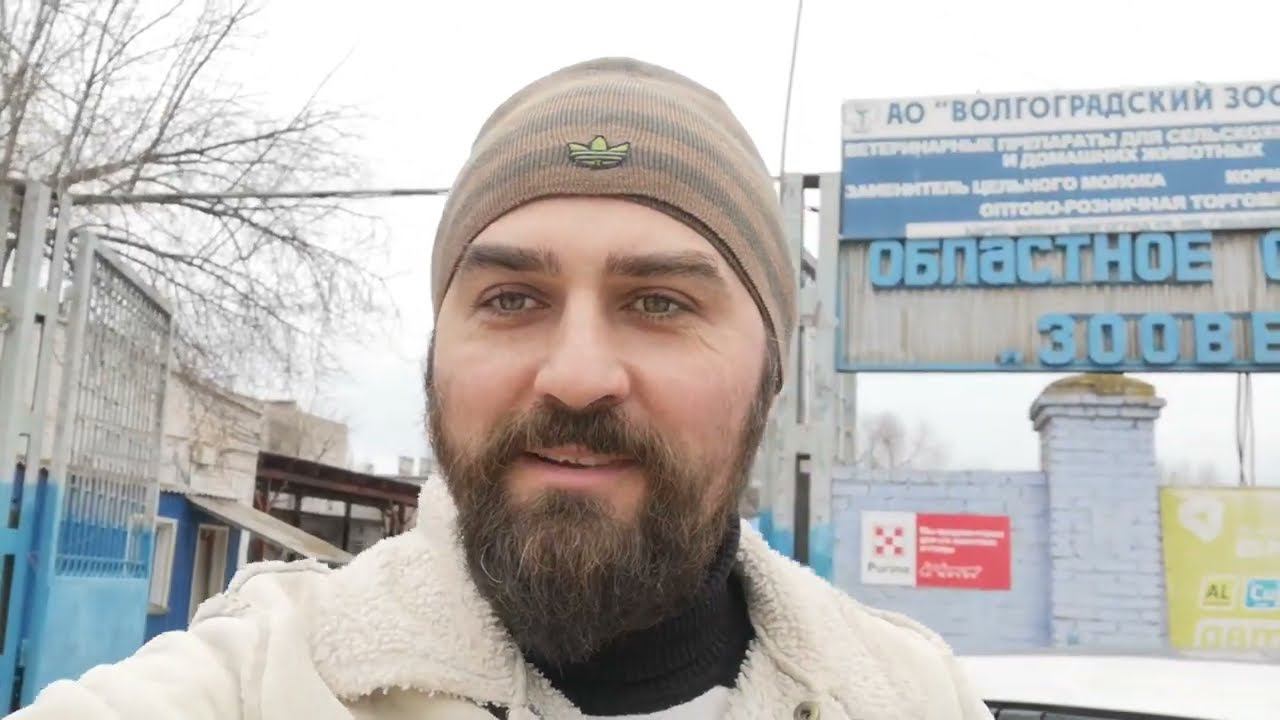 Осенне-зимняя профилактика всей птицы. Глисты, кокцидиоз и витамины