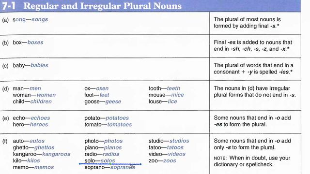 79. Irregular plural nouns