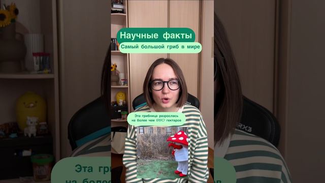 Самый гигантский гриб на земле!!